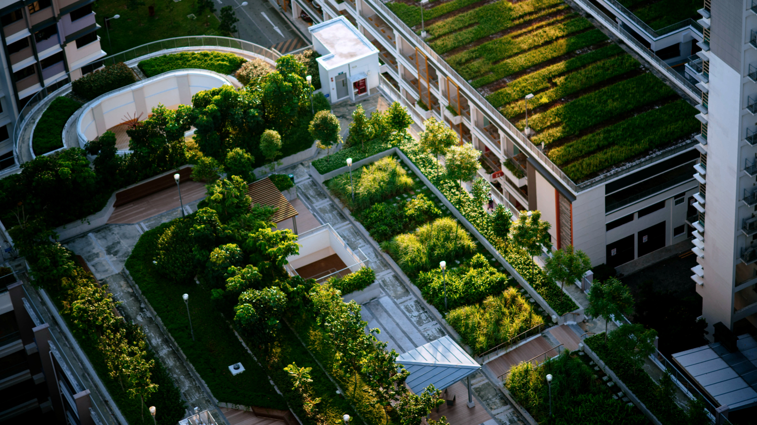 Forging new paths with sustainable infrastructure | GetSmarter Blog Forging new paths with sustainable infrastructure | GetSmarter Blog
