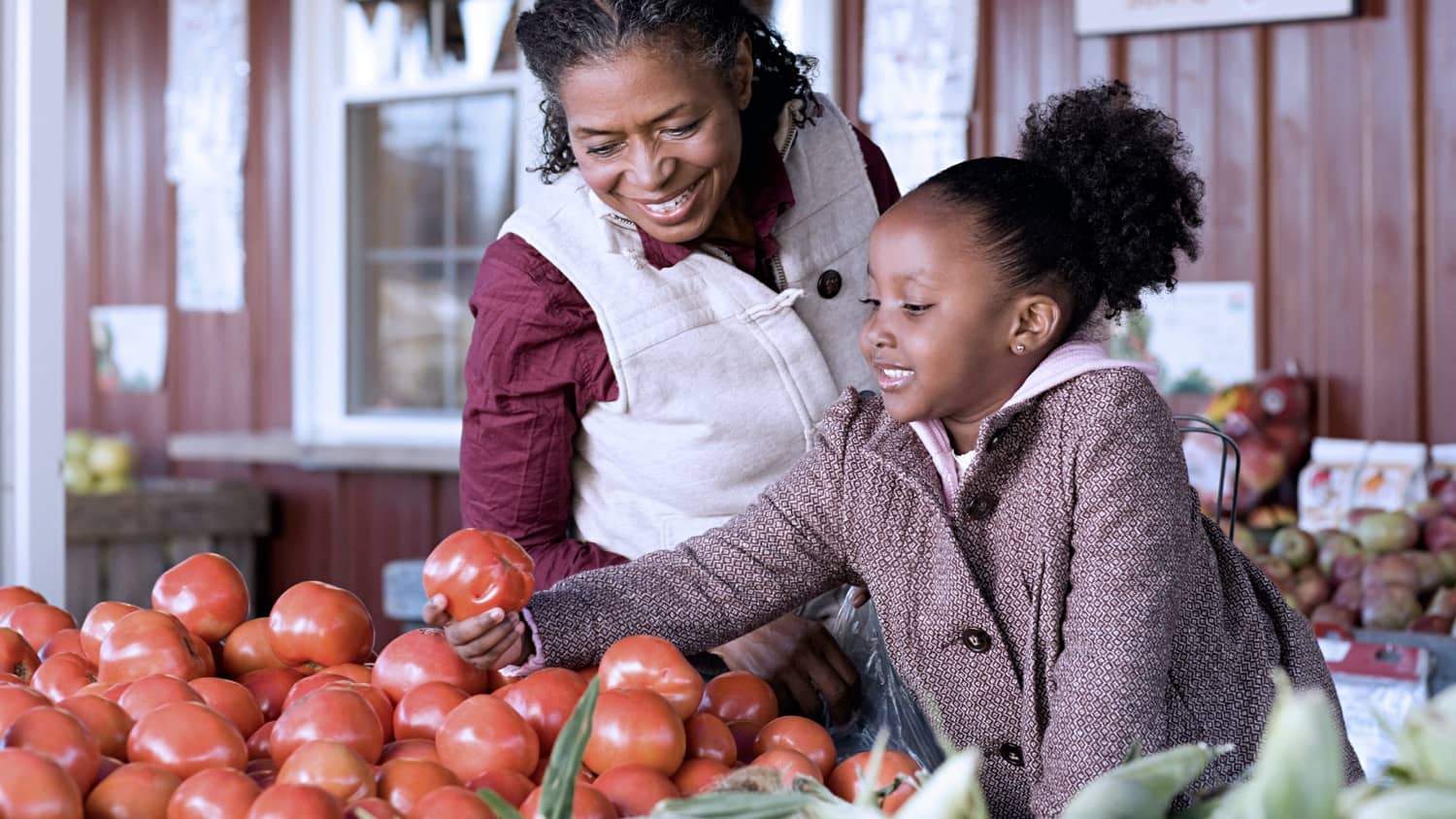 Sustainable Food: Production and Processing | University of Cambridge ...